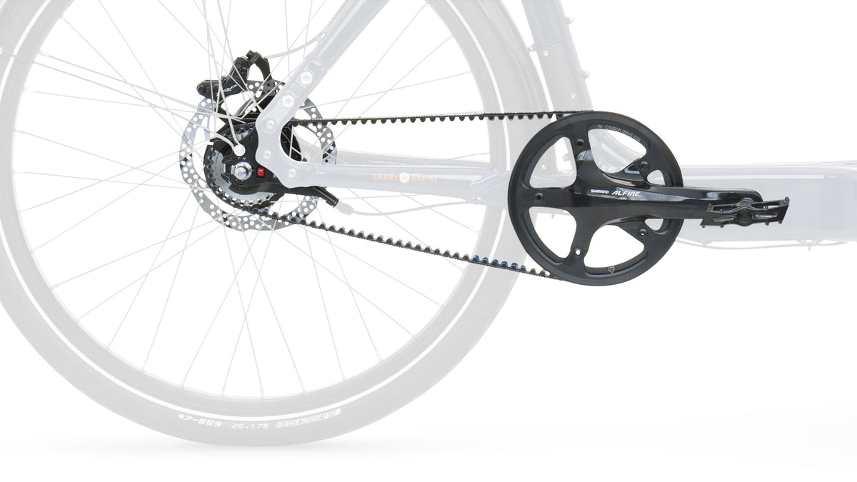 Group Set Shimano Alfine 11-Speed belt – Larry vs Harry